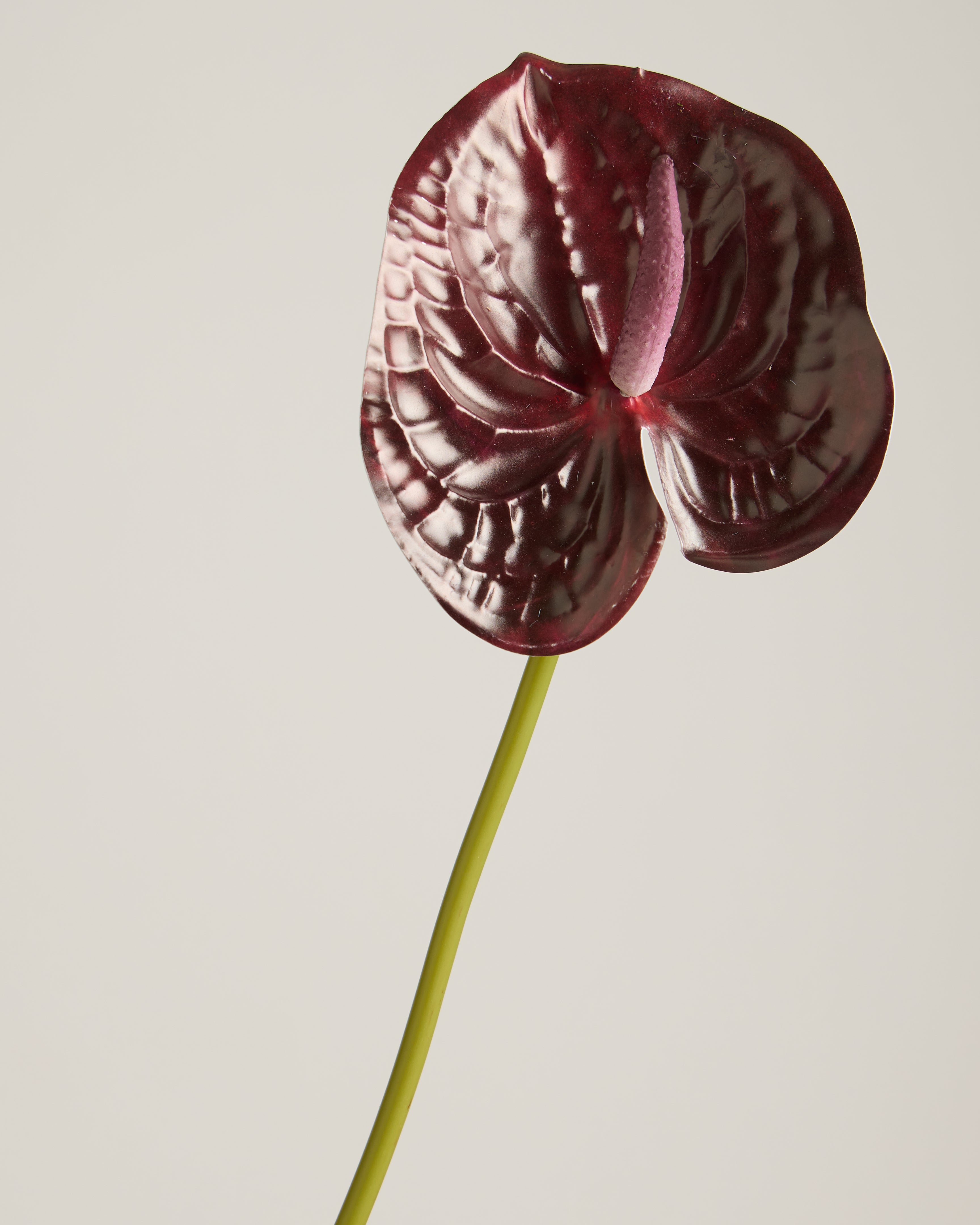 Anthurium In Merlot Faux King Florals